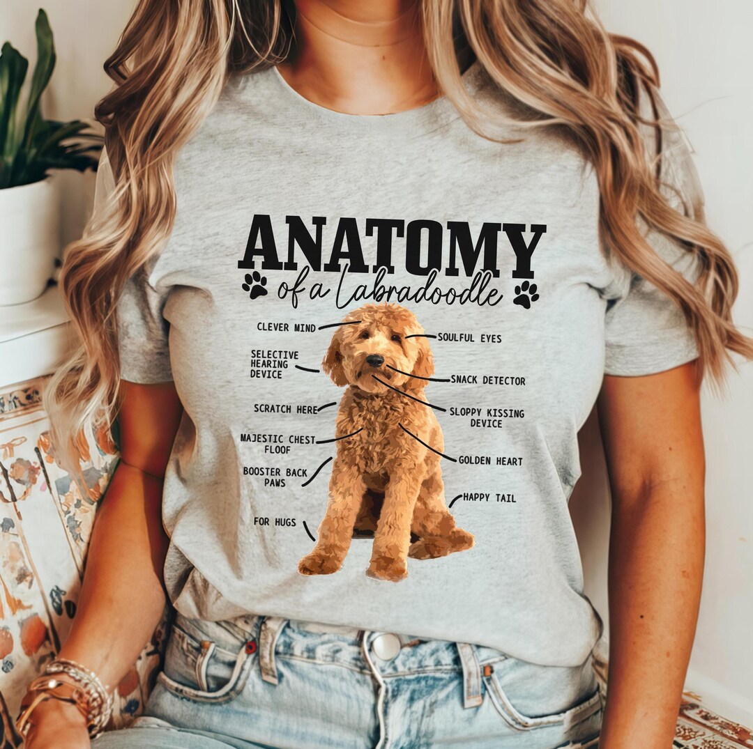 Labradoodle Shirt Anatomy of A Labradoodle Tshirt Funny Labradoodle Dog ...