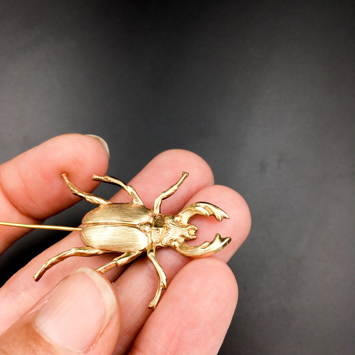 Gold Stag Beetle Stick Pin – Vintage Style Brass Lapel Pin - Etsy
