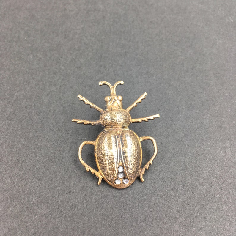 Scarab Pin Insect Pin Insect Brooch Bug Pin Lapel Pin - Etsy