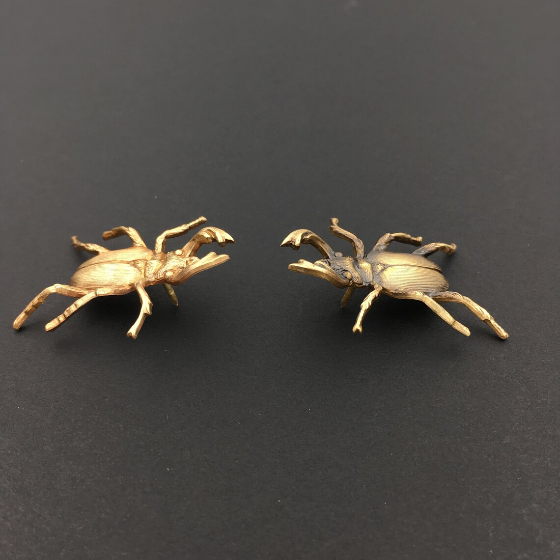 Stag Beetle Pin Bug Pin Insect Jewelry Stag Beetle Jewelry | Etsy