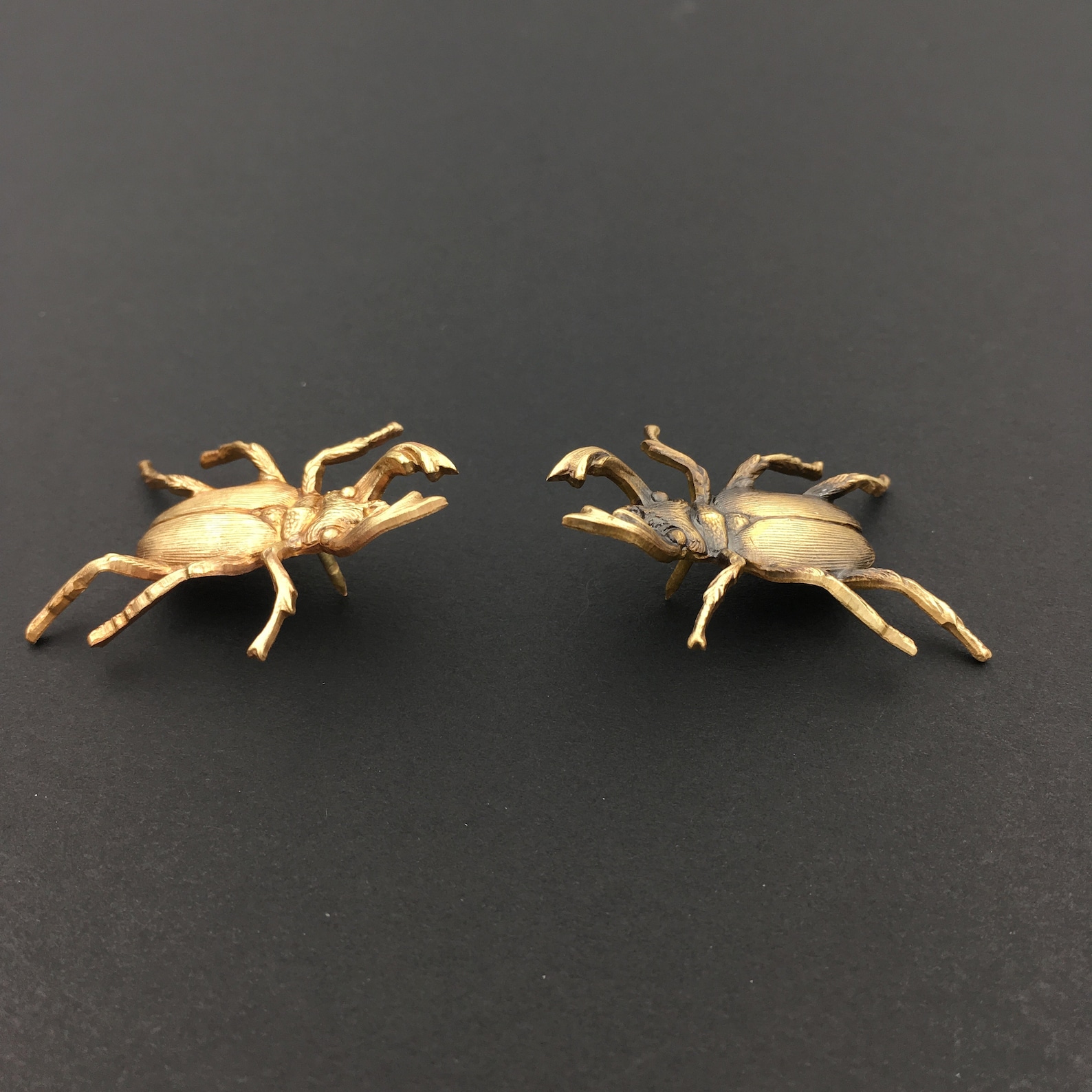 Stag Beetle Pin, Bug Pin, Insect Jewelry, Stag Beetle Jewelry, Stag ...