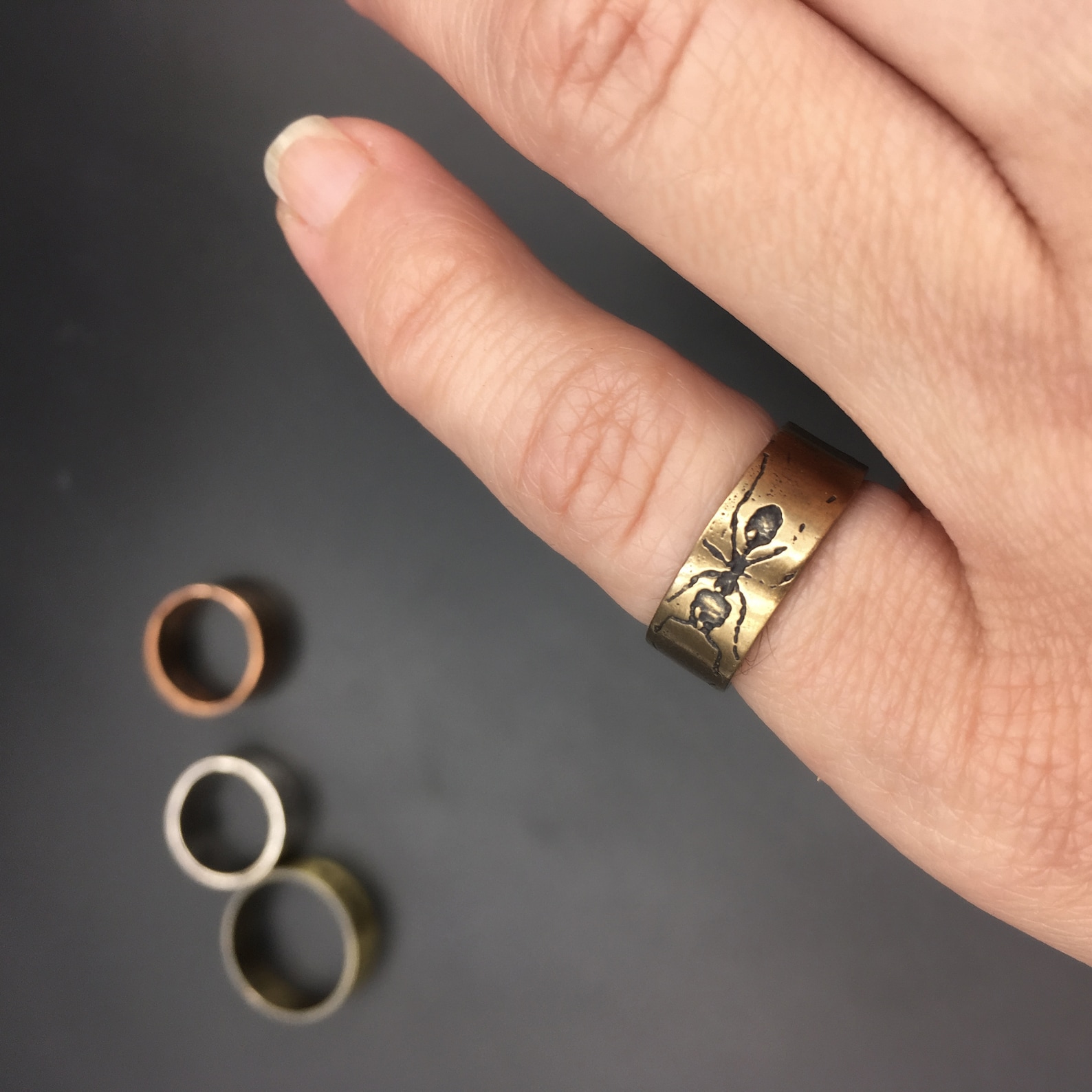 Handmade Bronze Eternity Ant Ring Band – Insect Jewelry, Entomologist ...