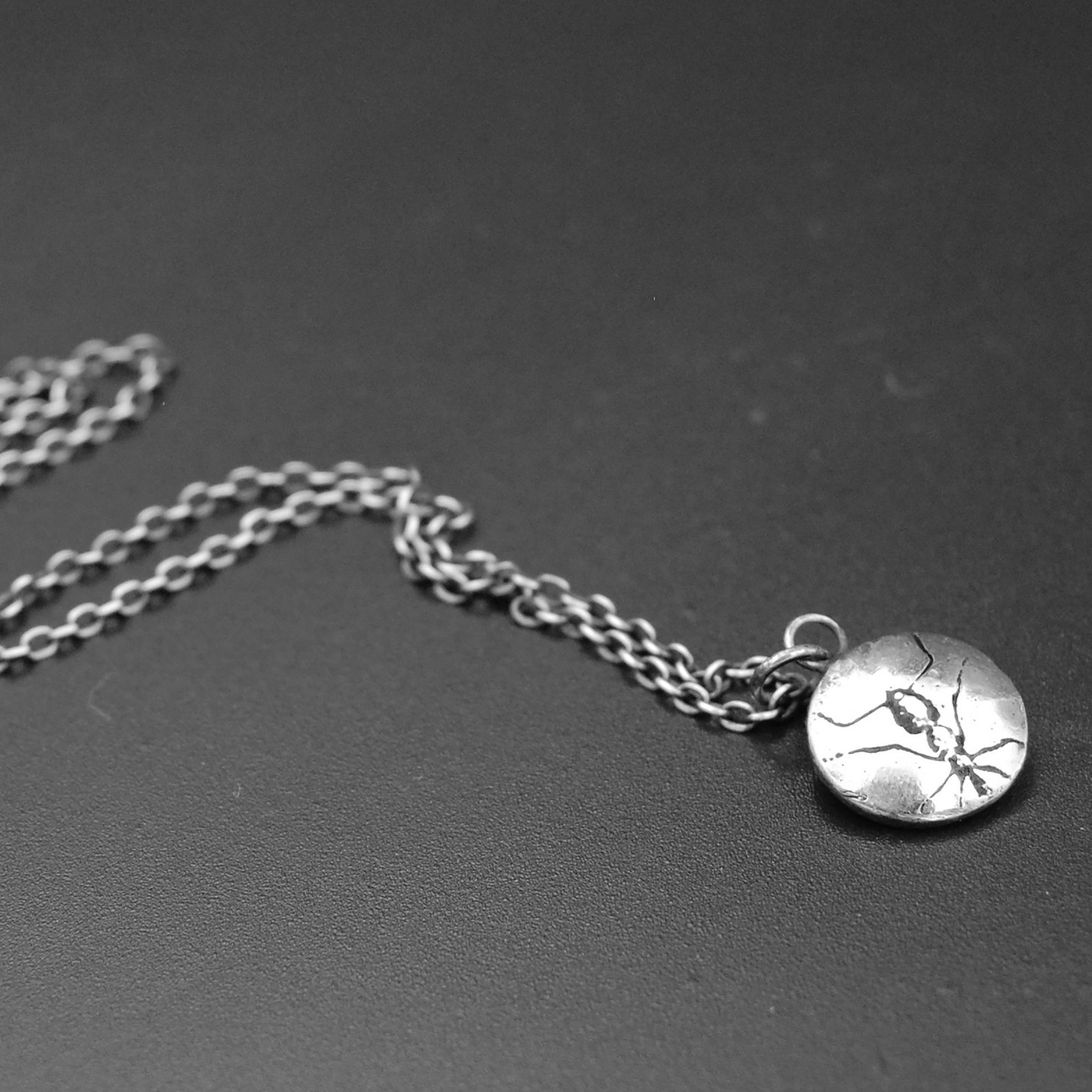 Customizable Sterling Silver Ant Necklace — With Your Choice of ...