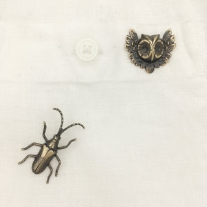 Brass Long Horned Beetle Pin, Insect Brooch, Bug Pin, Lapel Pin, Insect ...