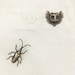 Brass Long Horned Beetle Pin, Insect Brooch, Bug Pin, Lapel Pin, Insect ...