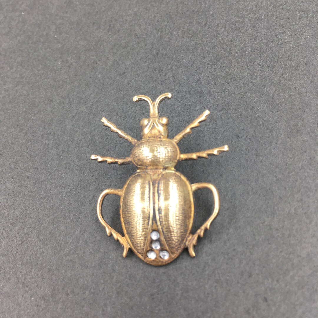 Brass Scarab Beetle Pin, Insect Brooch, Bug Jewelry - Etsy