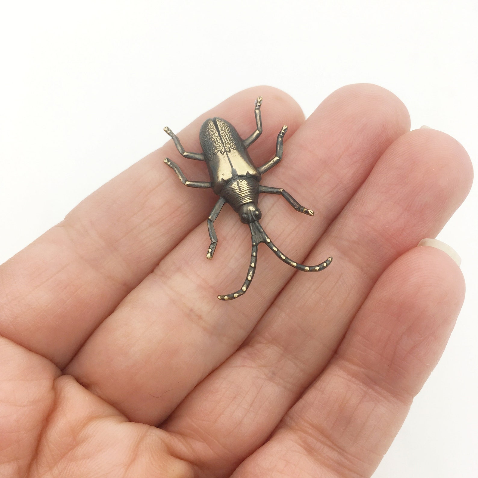 Brass Long Horned Beetle Pin, Insect Brooch, Bug Pin, Lapel Pin, Insect ...