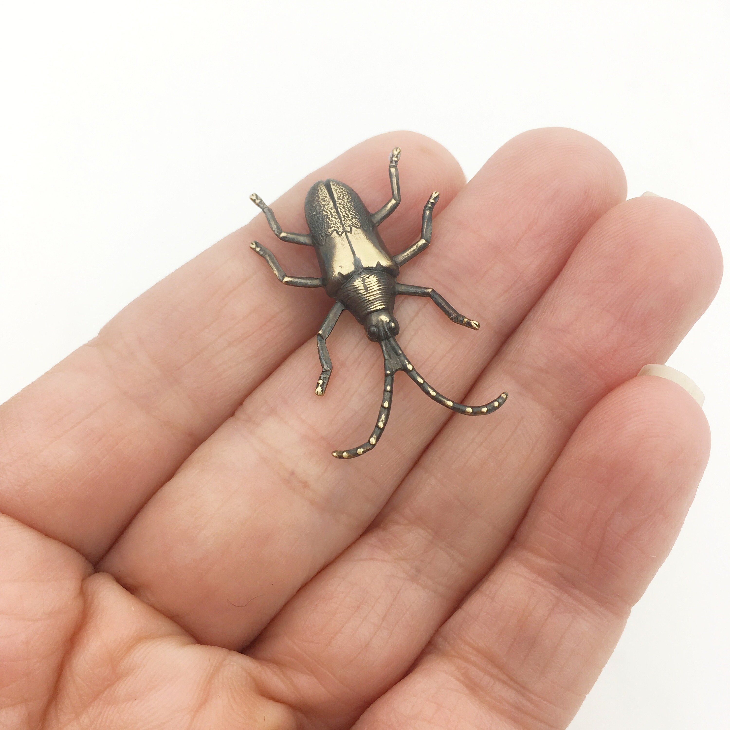 Brass Long Horned Beetle Pin Insect Brooch Bug Pin Lapel - Etsy UK