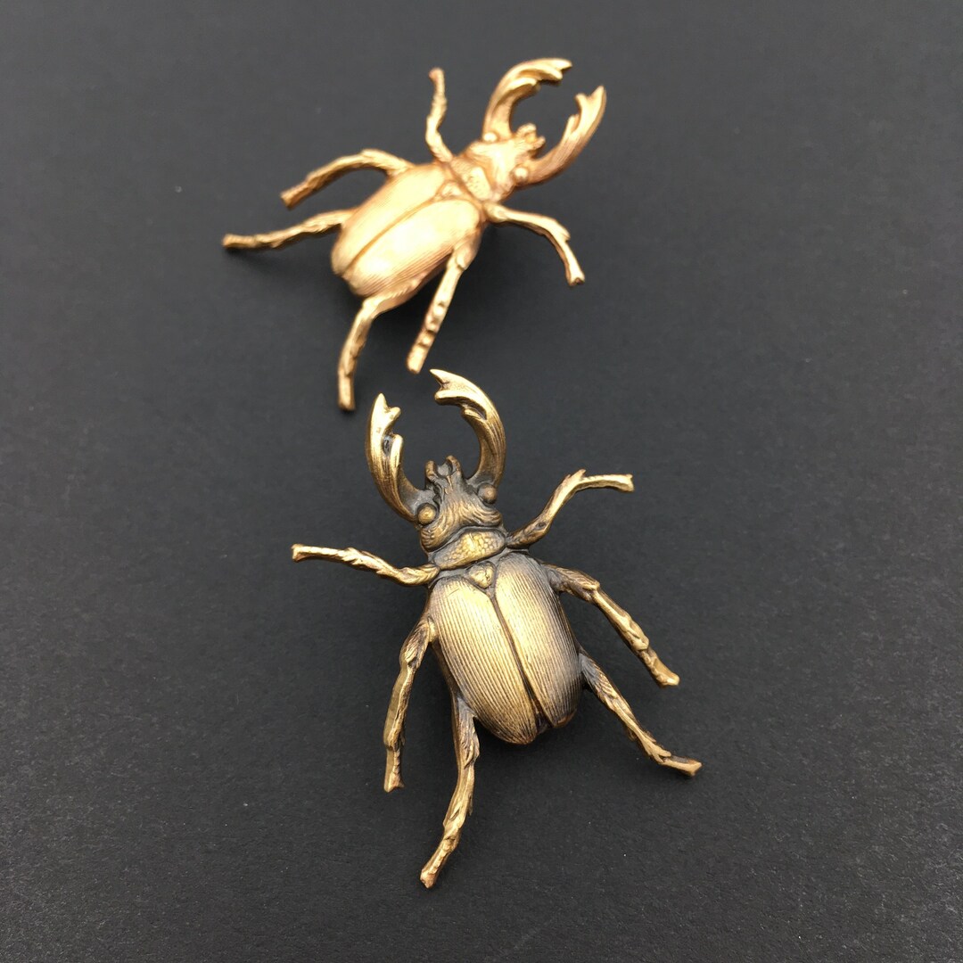 Stag Beetle Pin, Bug Pin, Insect Jewelry, Stag Beetle Jewelry, Stag ...