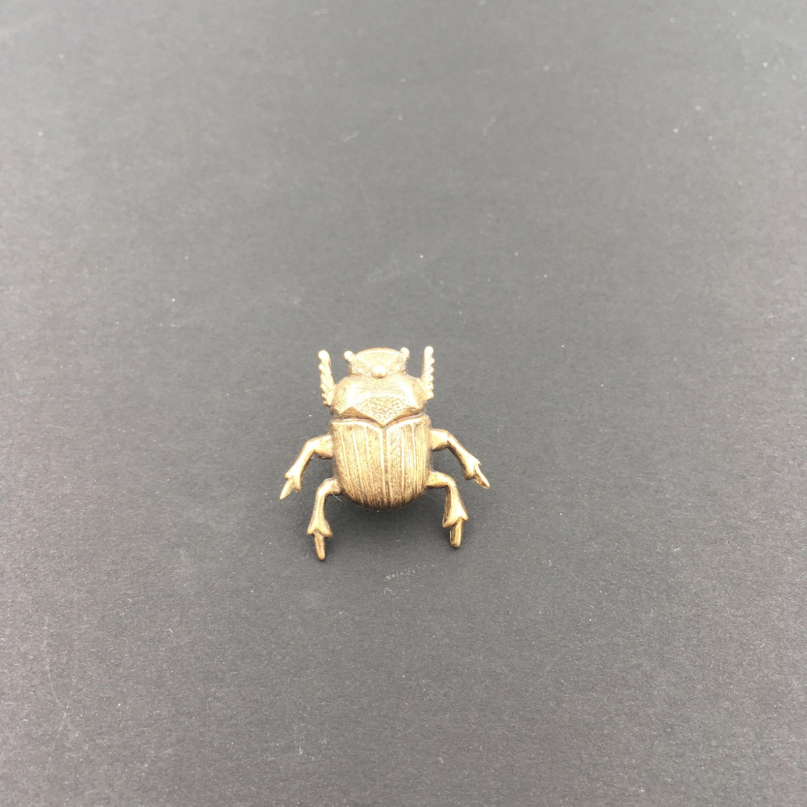 Scarab Pin Insect Pin Bug Pin Insect Jewelry Scarab | Etsy