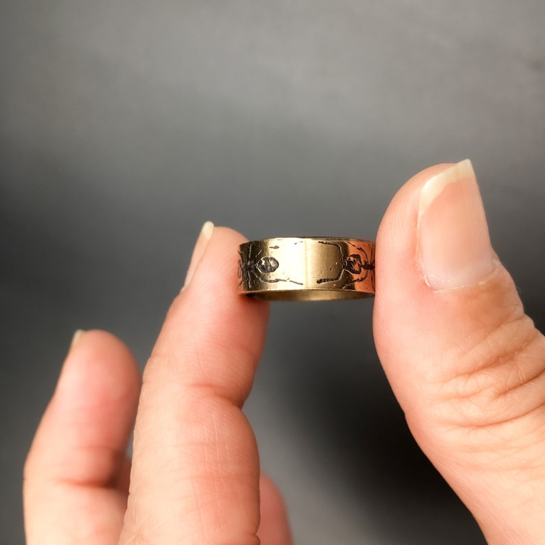 Handmade Bronze Eternity Ant Ring Band – Insect Jewelry, Entomologist ...