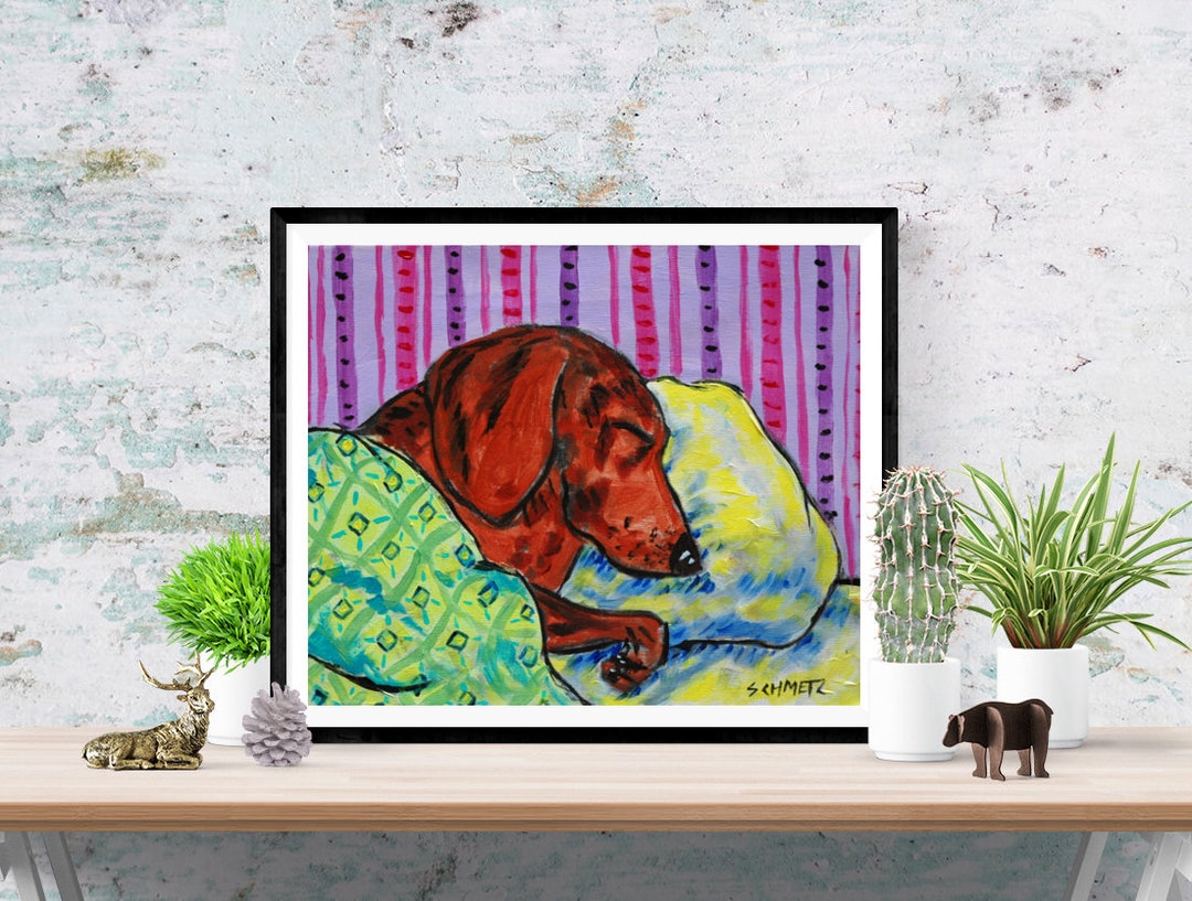 Dachshund Sleeping Dog Art Print - Streched Canvas or Matte Paper Print ...