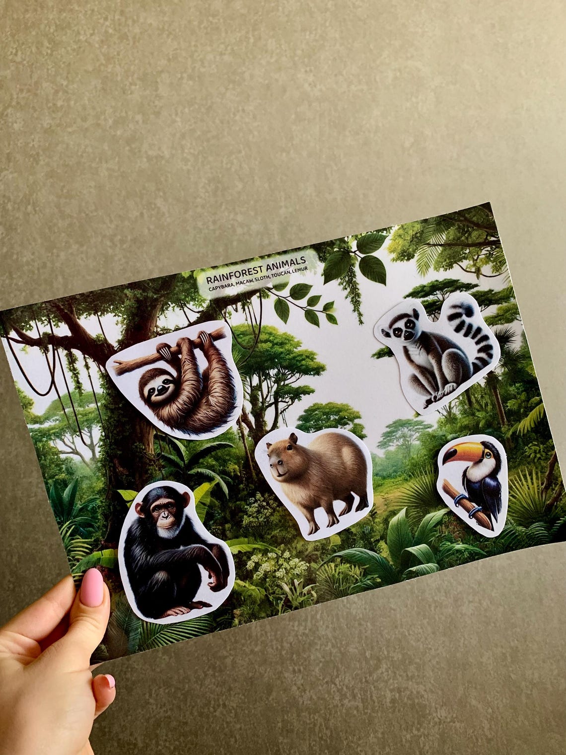 Printable Animal Habitat Matching Book for Toddlers – Educational ...