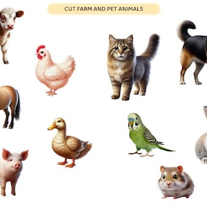 Printable Animal Habitat Matching Book for Toddlers – Educational ...