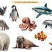 Printable Animal Habitat Matching Book for Toddlers – Educational ...