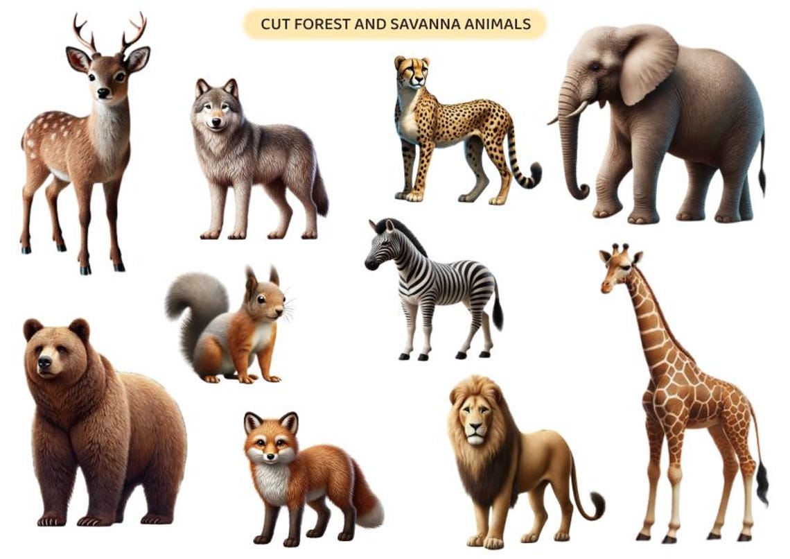 Printable Animal Habitat Matching Book for Toddlers – Educational ...