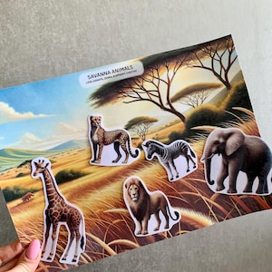 Printable Animal Habitat Matching Book for Toddlers – Educational ...