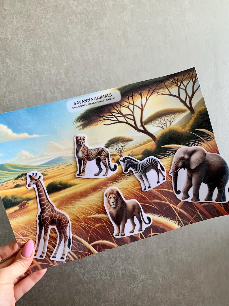 Printable Animal Habitat Matching Book for Toddlers – Educational ...