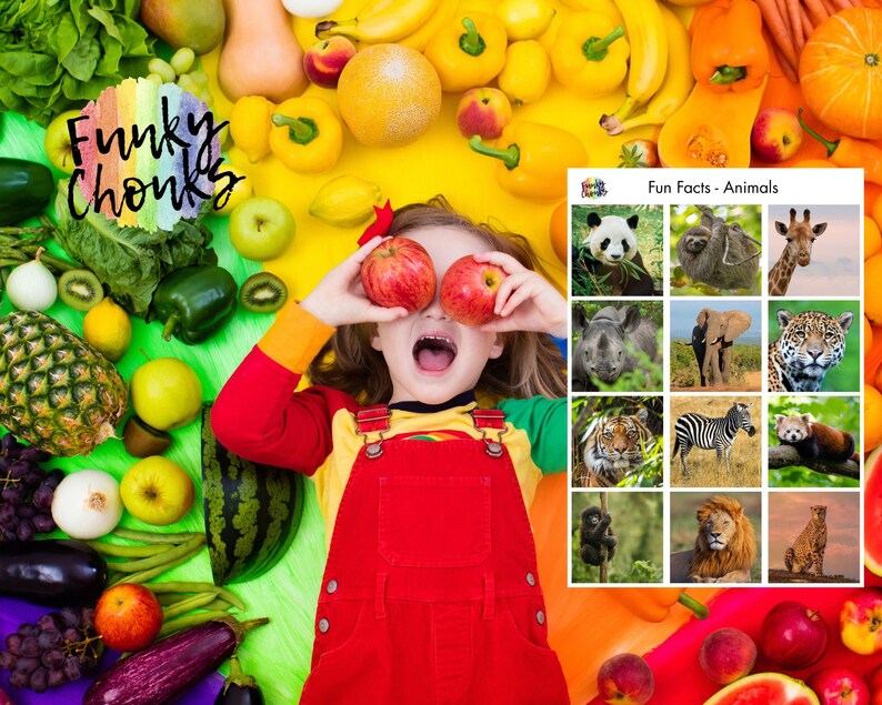 Lunch Box Fun Facts About Animals - Micro Learning for Kids :) - Etsy