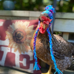Sombrero de pollo con lazos - Etsy España