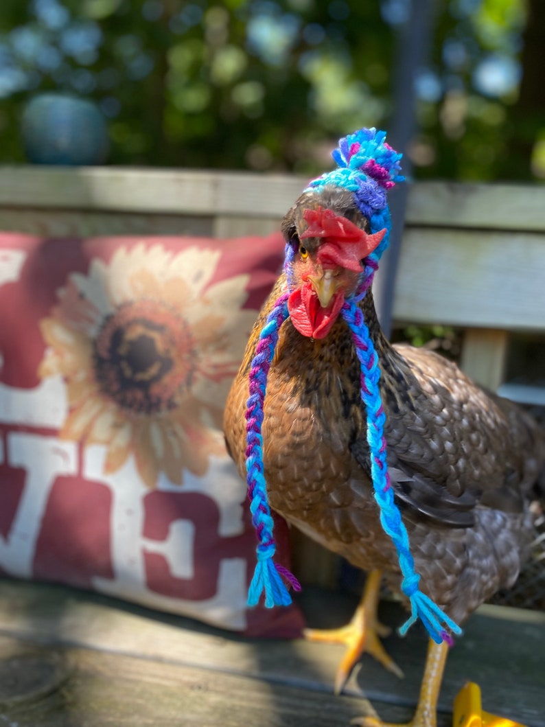 Chicken Hat With Ties - Etsy