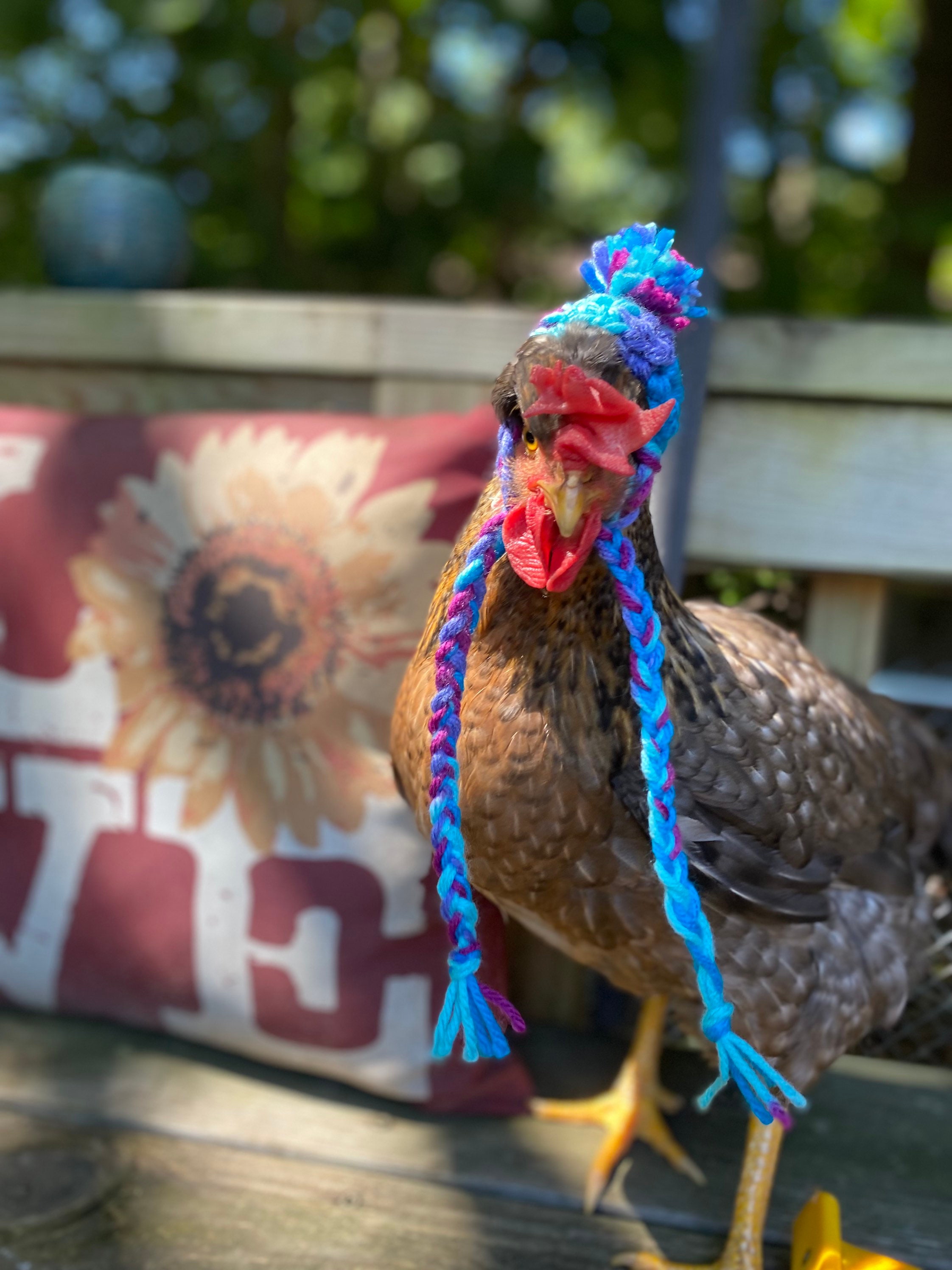 Chicken Hat With Ties | Etsy