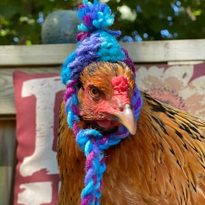 Sombrero de pollo con lazos - Etsy España