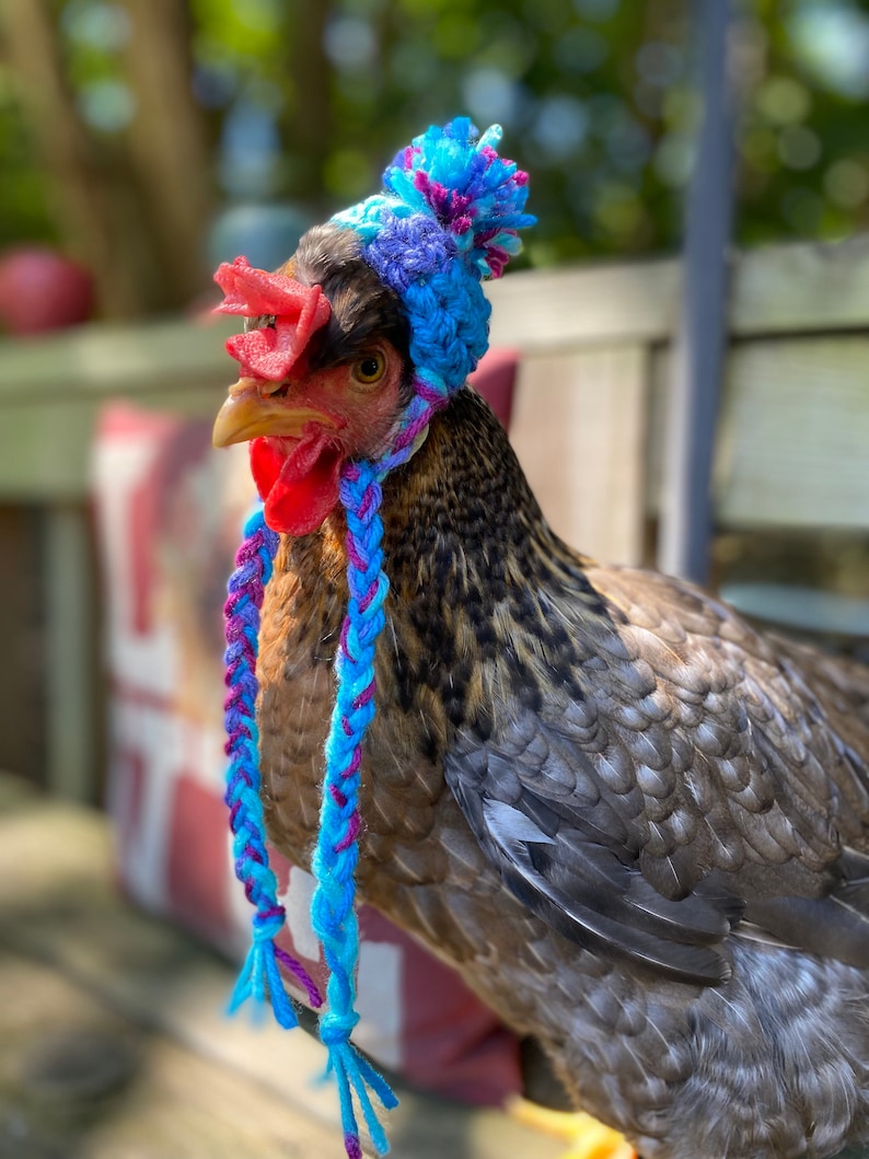 Chicken Hat With Ties - Etsy