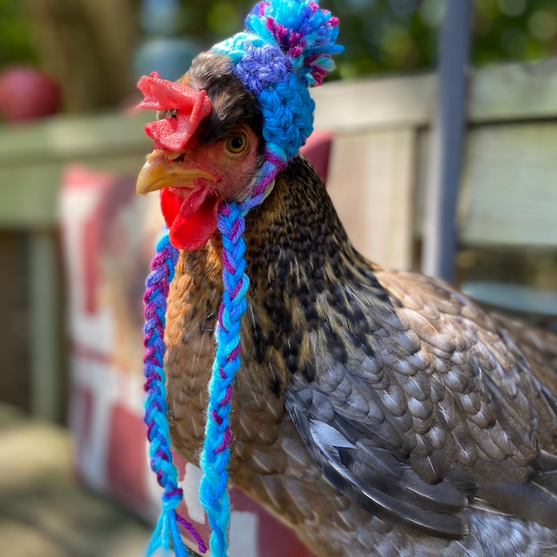 Chicken Hats - Etsy