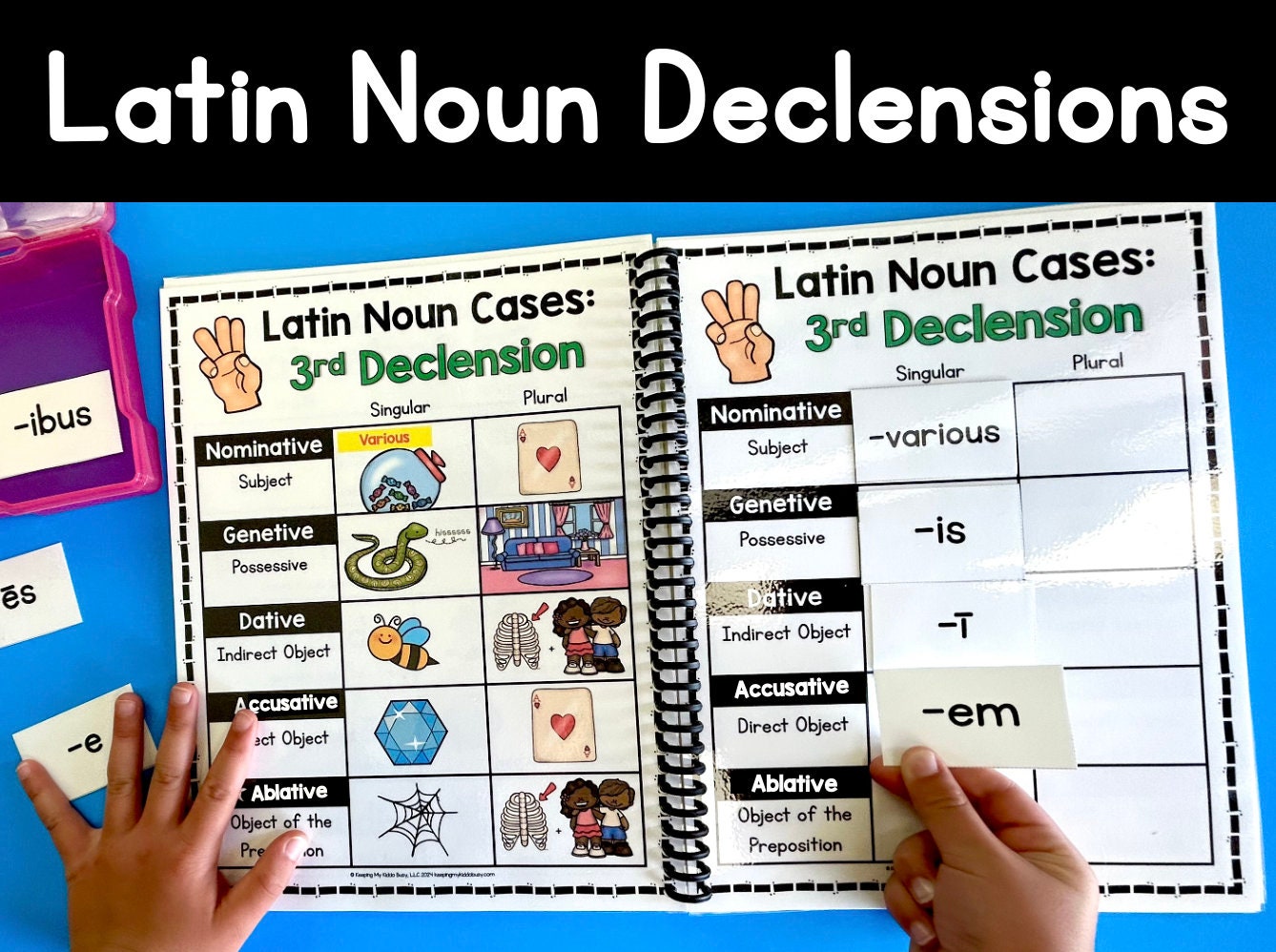 Classical Education Latin Memory Work Cycle 1 - Noun Declensions ...