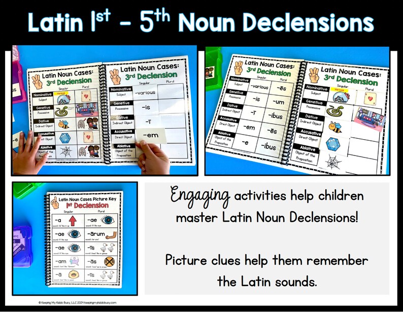Classical Education Latin Memory Work Cycle 1 - Noun Declensions ...