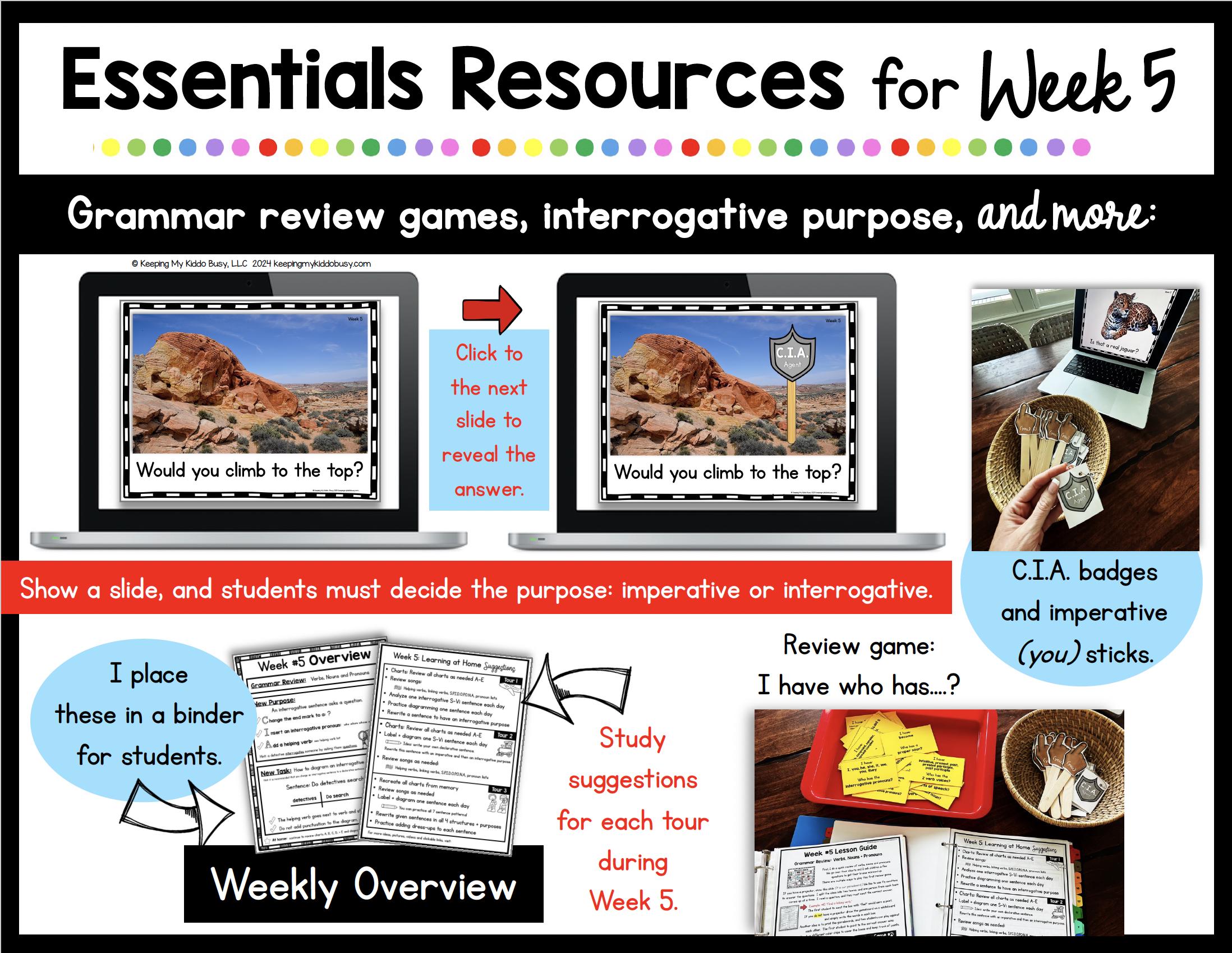 Essentials EEL Bundle - Homeschool Classical Education English Grammar ...