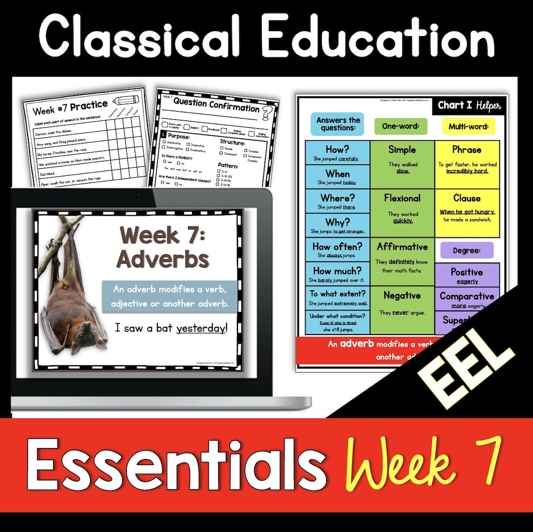Essentials English Grammar Homeschool Week 7 - Chart I Adverbs ...