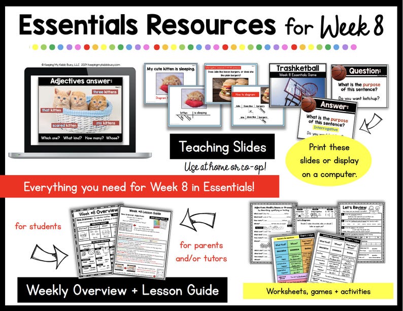 Essentials EEL Bundle - Homeschool Classical Education English Grammar ...