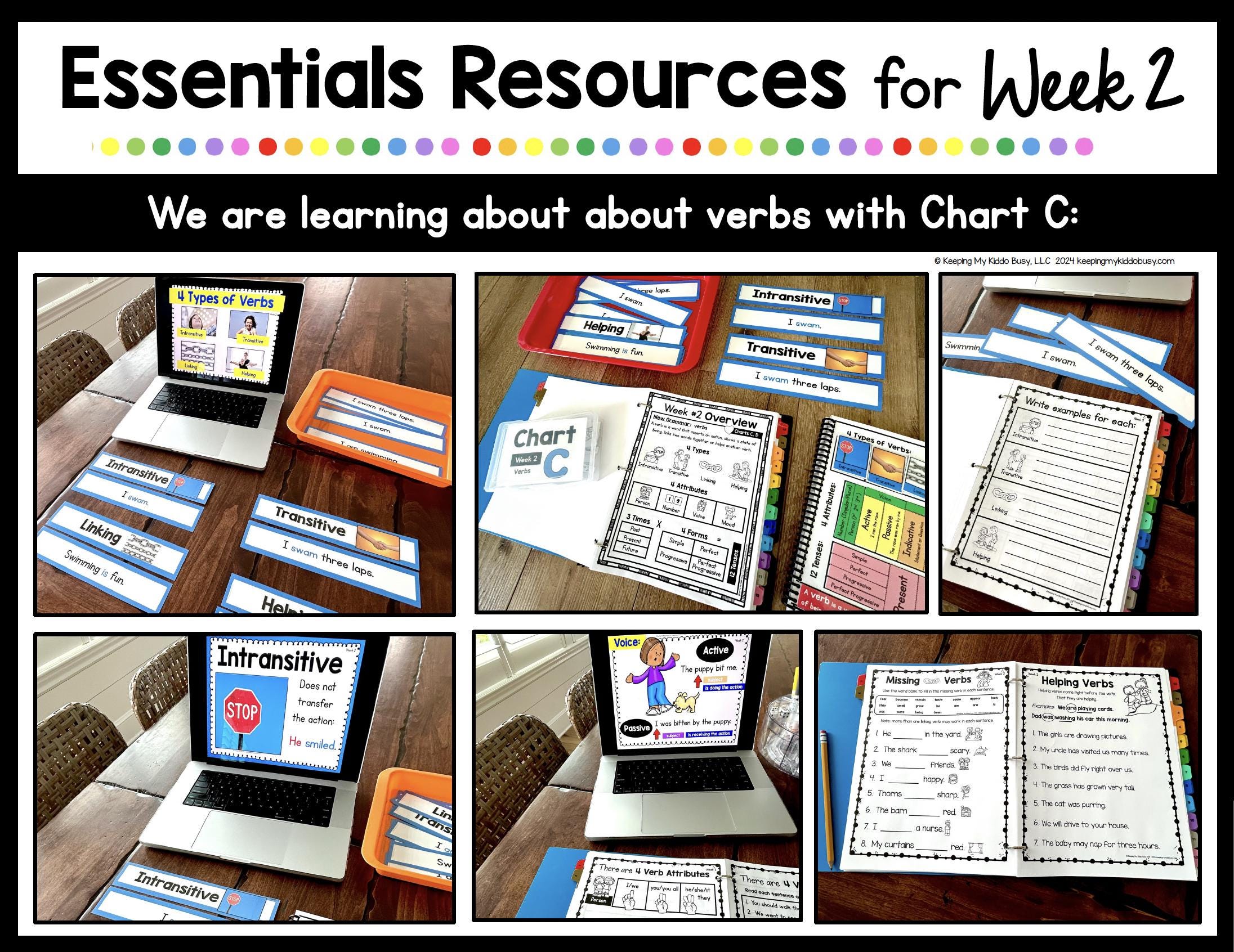 Essentials EEL Bundle - Homeschool Classical Education English Grammar ...