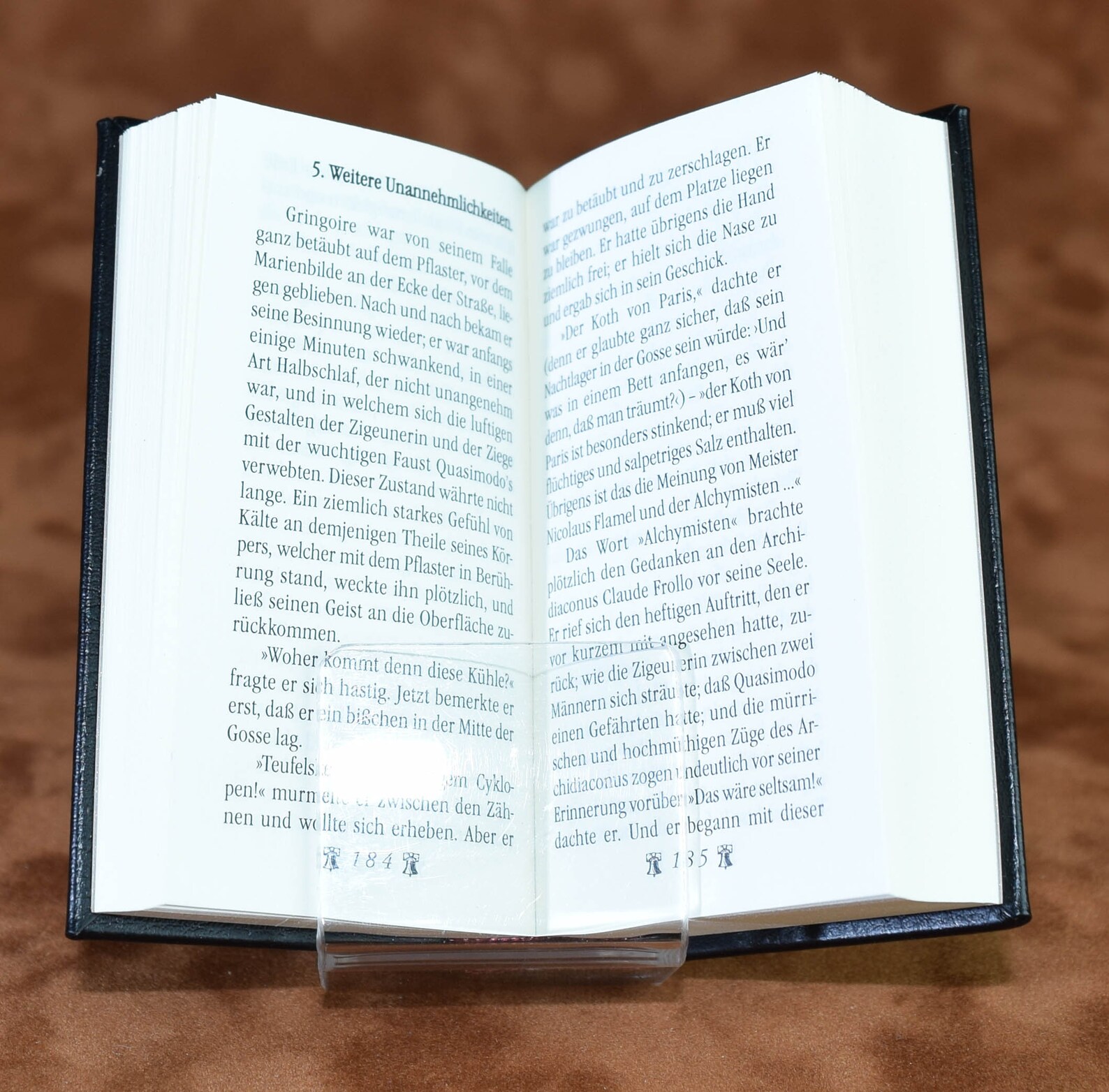 Miniature Book: Hugo, the Hunchback of Notre-dame - Etsy