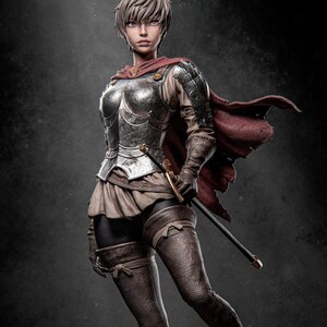 Casca -berserk FAN ART FIGURE | 3D Printed | Handmade Gift | Resin ...