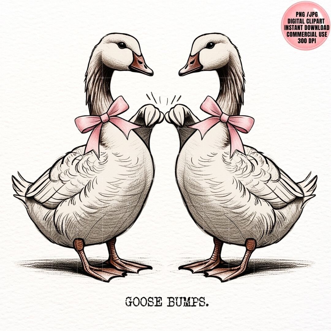 Goose Bumps Humor Meme Digital Art Funny Geese Illustration With Pink ...