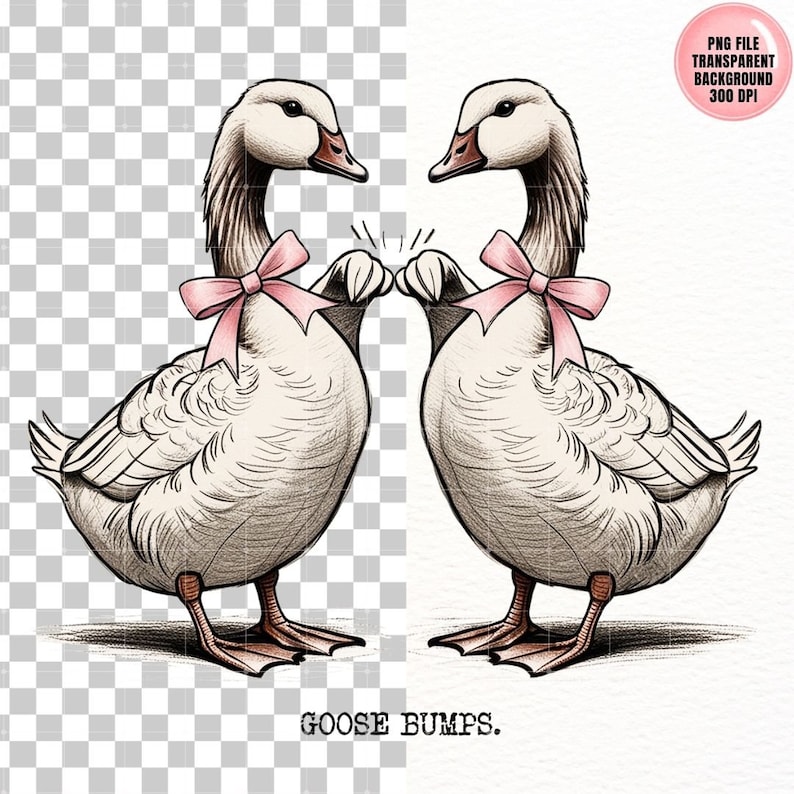 Goose Bumps Humor Meme Digital Art Funny Geese Illustration With Pink ...