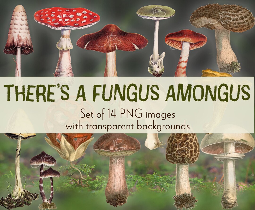 There's A Fungus Amongus - PNG Digital Kit - 14 Images With Transparent ...