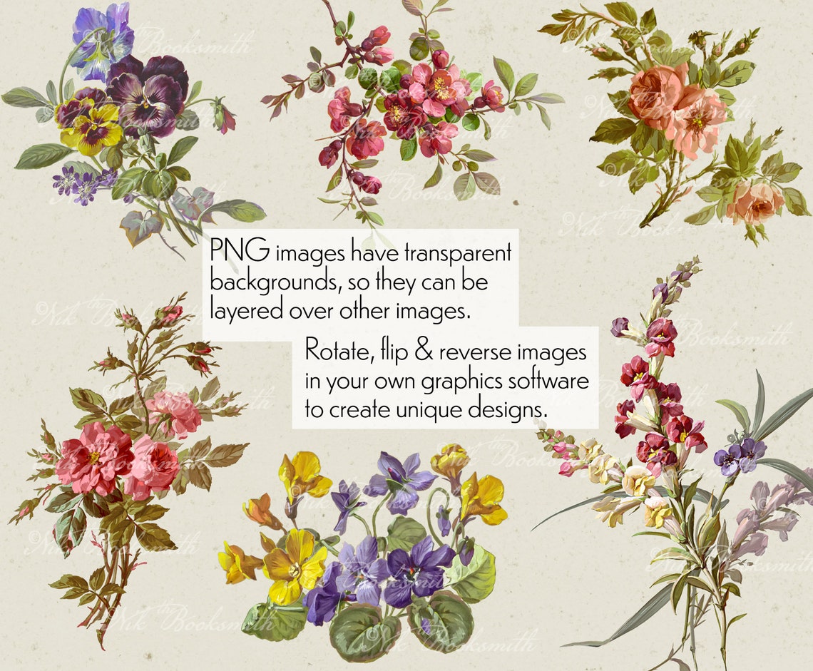 Tussie Mussies PNG Digital Kit 6 Images With Transparent - Etsy