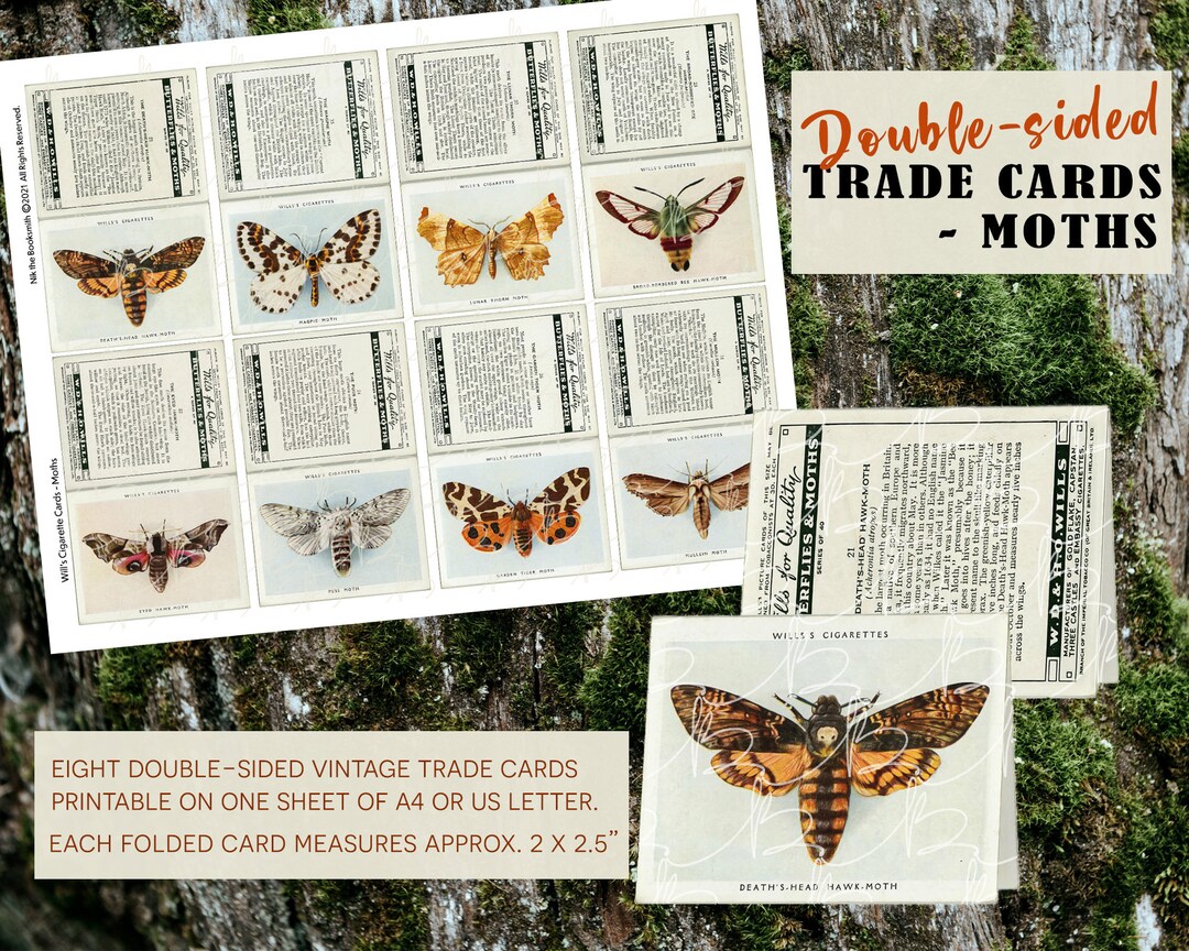 Vintage Trade Cards Moths Set of 8 DOUBLE-SIDED Cards Graphic Art ...