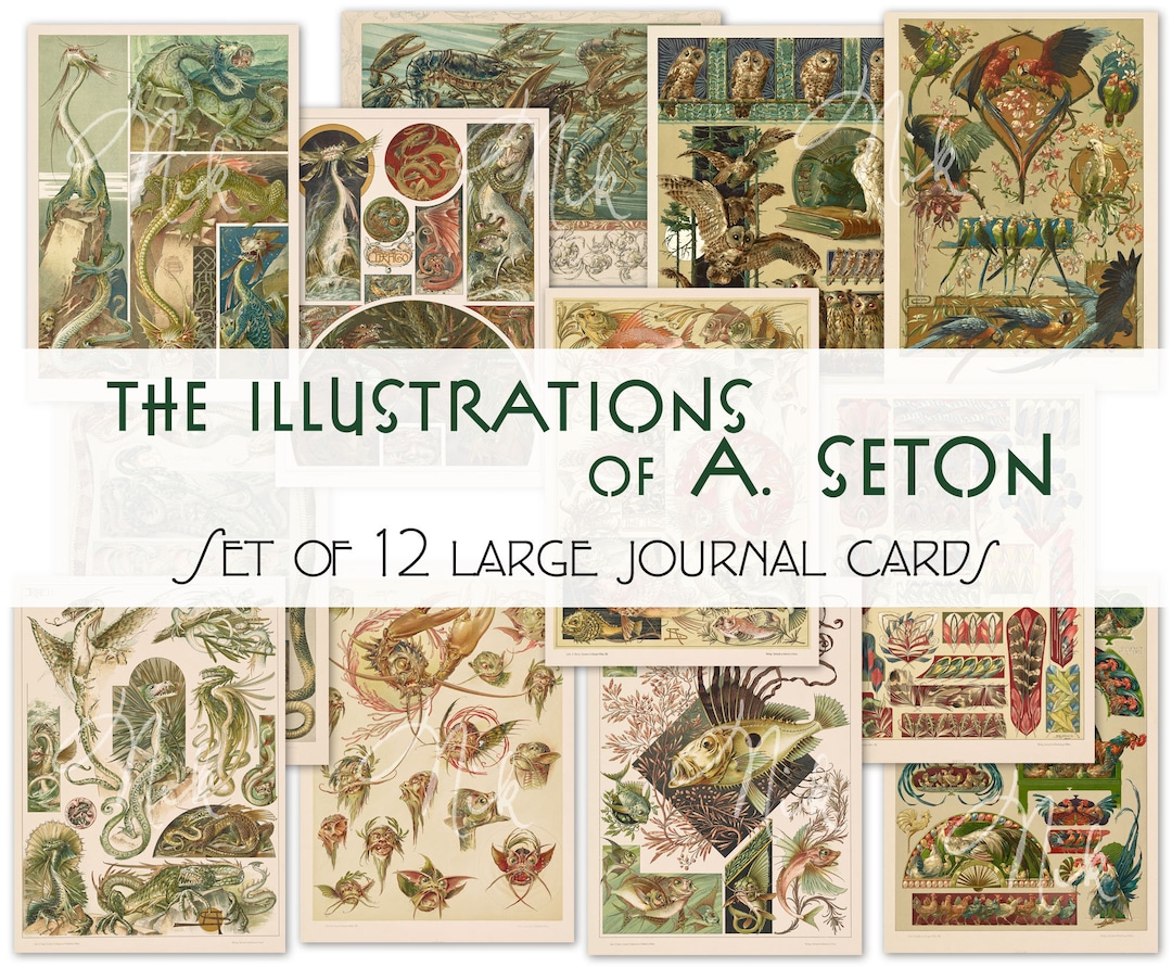 The Illustrations of A. Seton - 12 Large Journal Cards - Antique ...