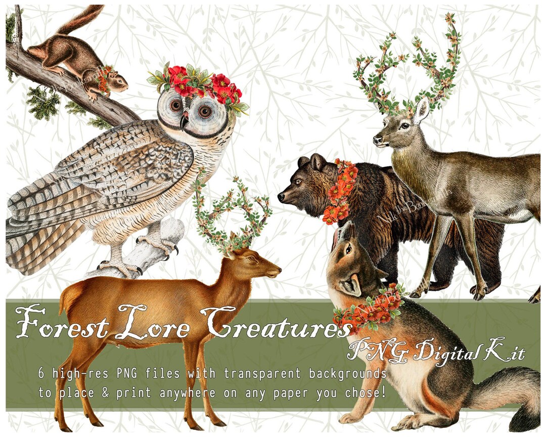 Forest Lore Creatures - PNG Digital Kit - Bookmakers - Graphic Art (6 ...