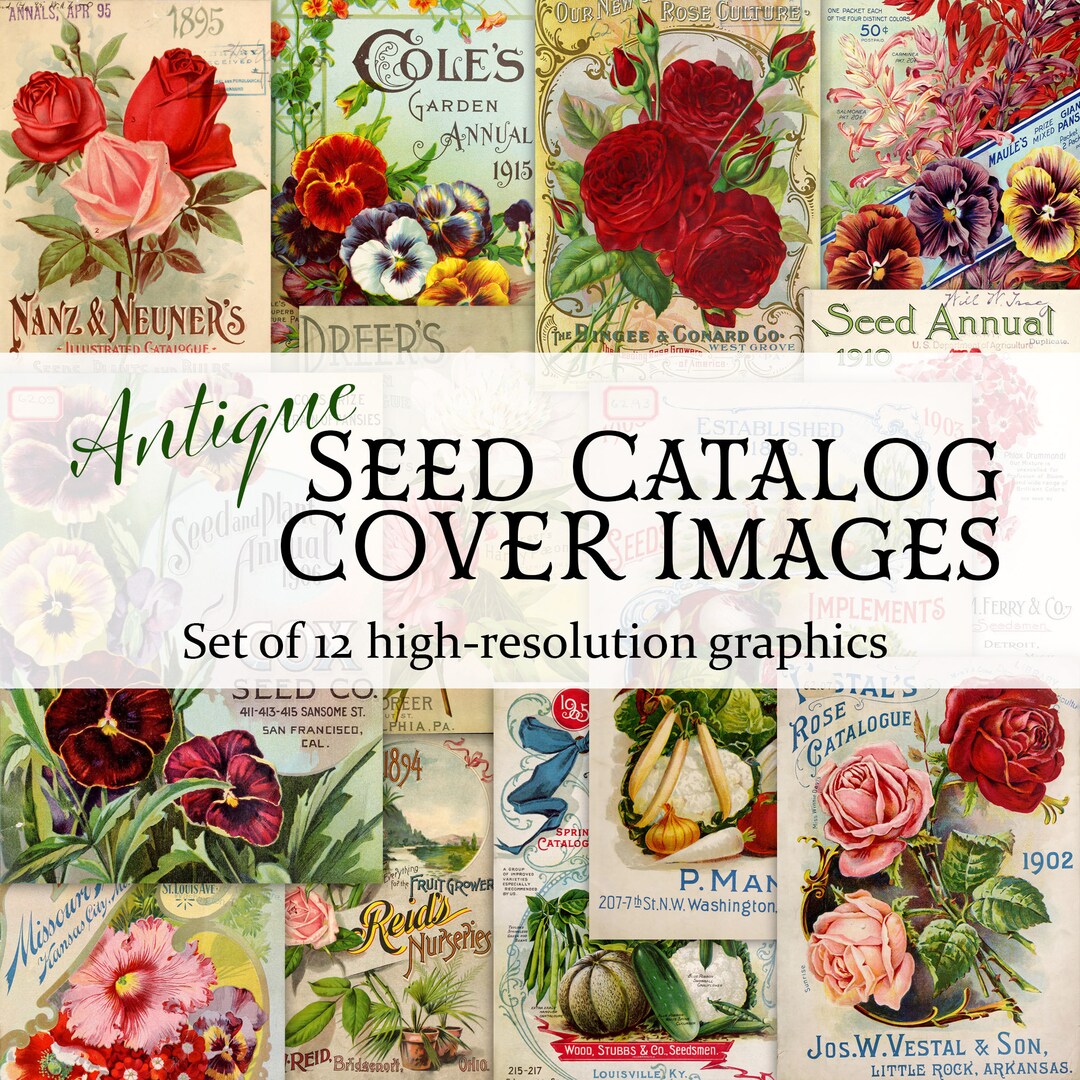 Set of 12 Antique Seed Catalog Cover Images - Digital Printables - Etsy