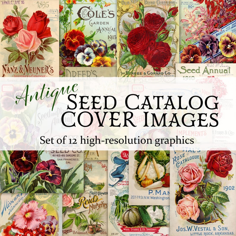 Set of 12 Antique Seed Catalog Cover Images - Digital Printables - Etsy