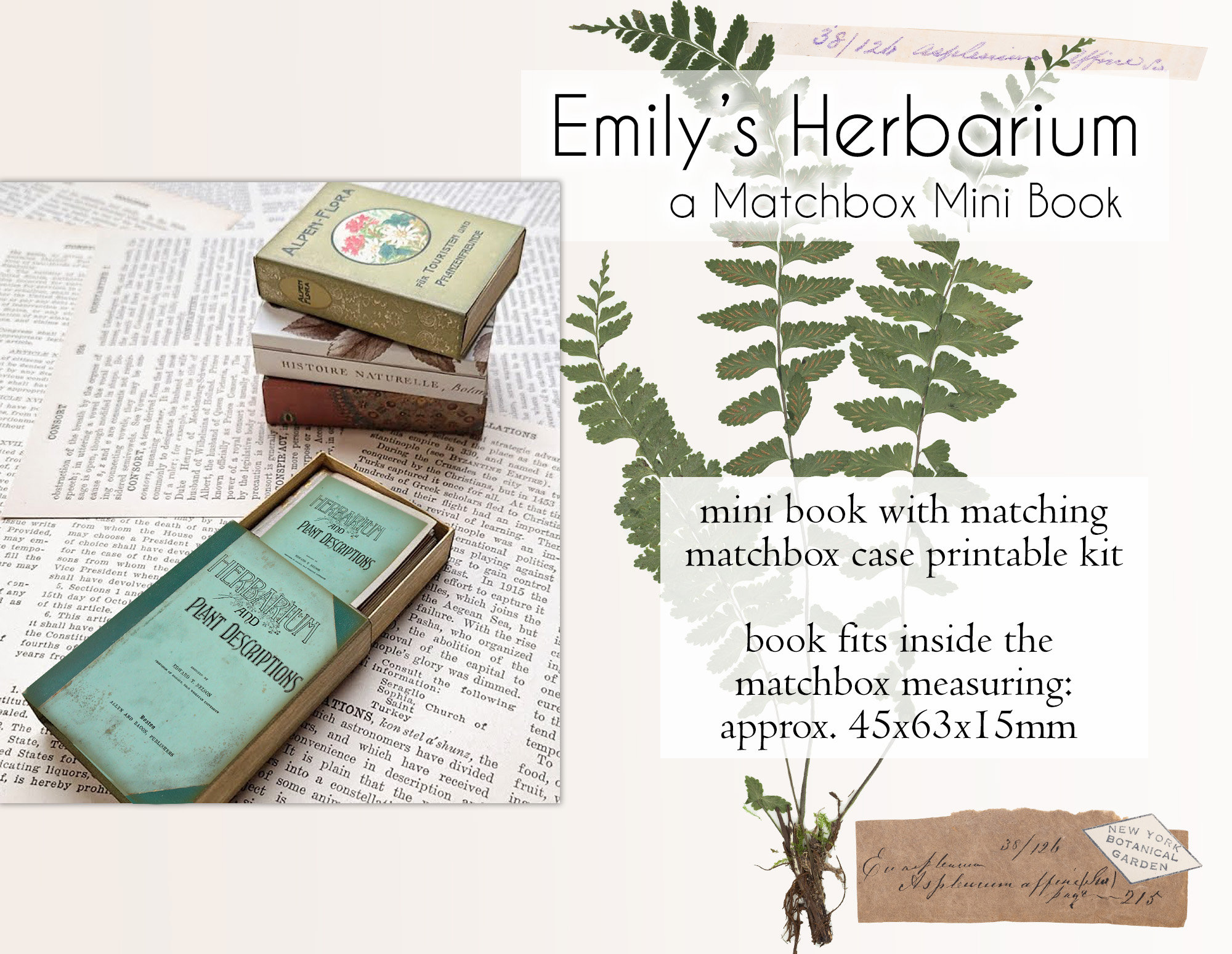 Emily's Herbarium Matchbox Mini Book Digital Printable | Etsy