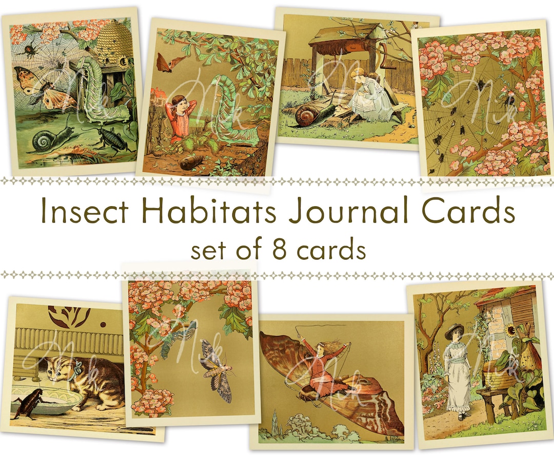 Insect Habitats - Journal Cards - Antique Ephemera - Books - Journals ...