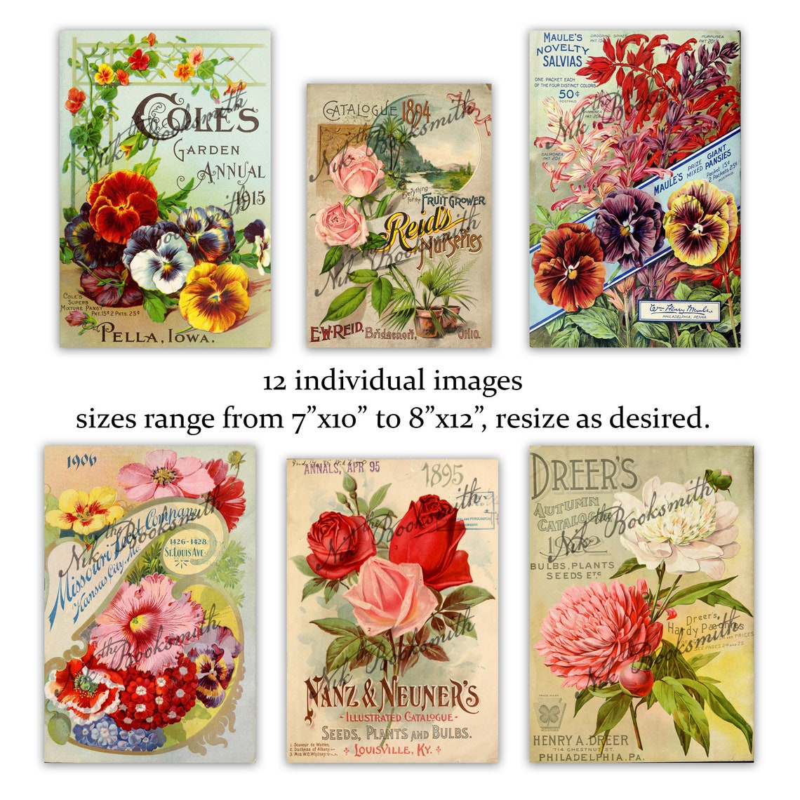 Set of 12 Antique Seed Catalog Cover Images - Digital Printables - Etsy