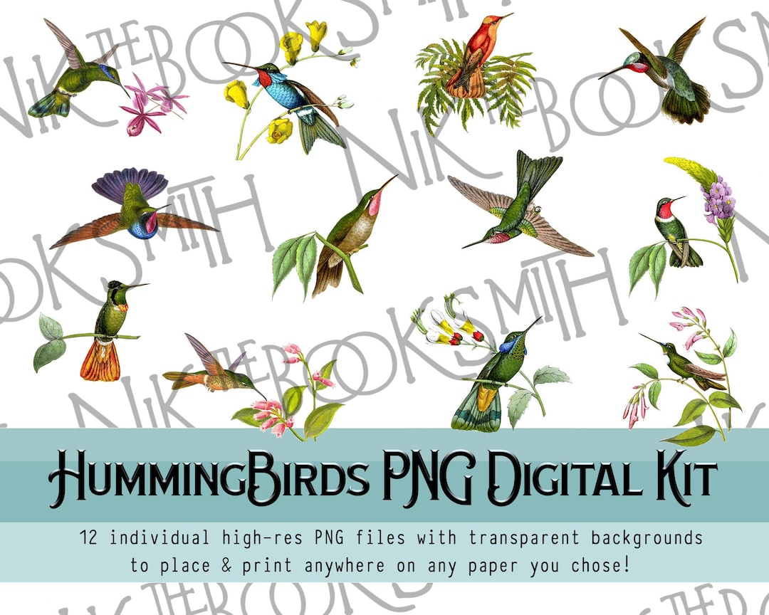 Hummingbirds - PNG Digital Kit - Bookmakers - Journal Pages - Graphic ...